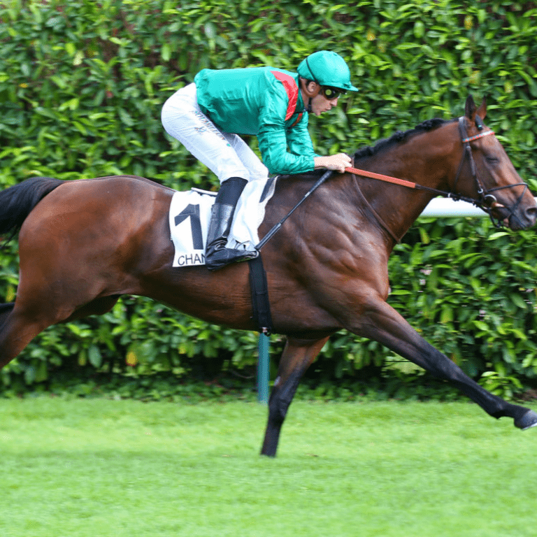 Pronostic Presse Quinté Demain Turfoo - Blaujournal